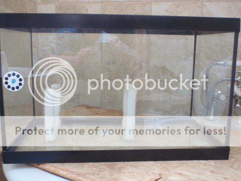 Fly Test Tank Construction: | Page 2 | Spey Pages