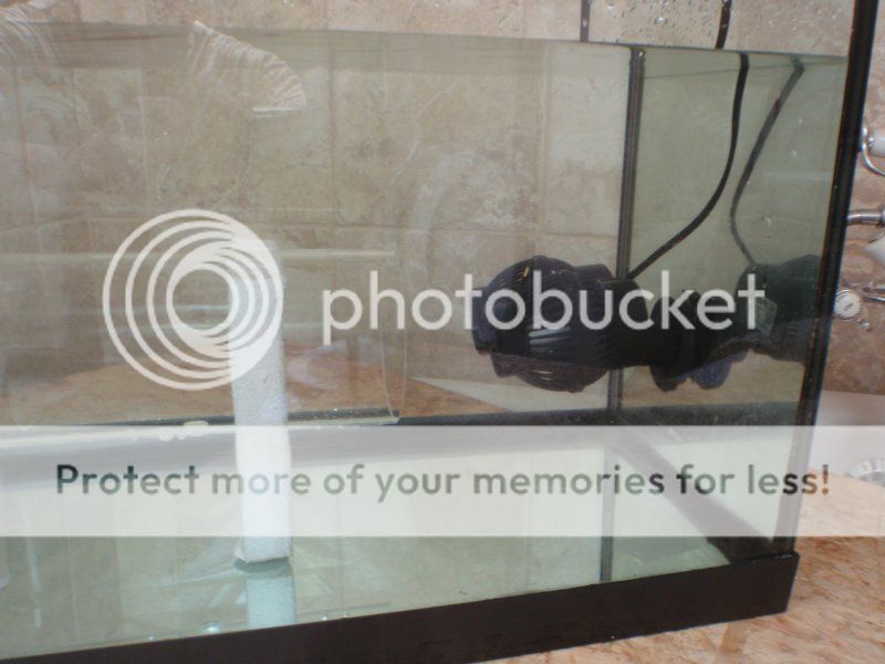 Fly Test Tank Construction: | Page 2 | Spey Pages