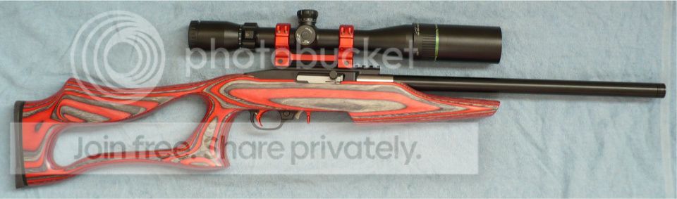 Boyds SS EVOLUTION | Rimfire Central Firearm Forum